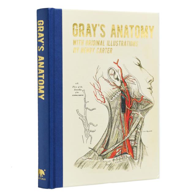 Gray's Anatomy | Gray, Henry | UK - abc.nl